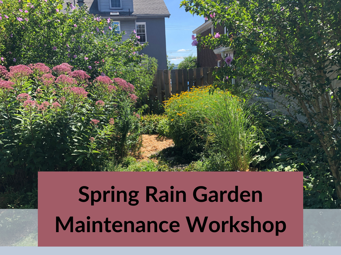 Spring Rain Garden Maintenance Workshop - UpstreamPgh