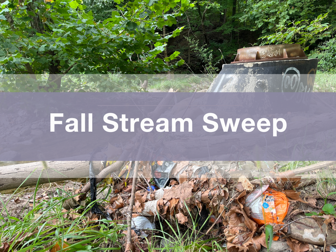 Fall Stream Sweep - UpstreamPgh