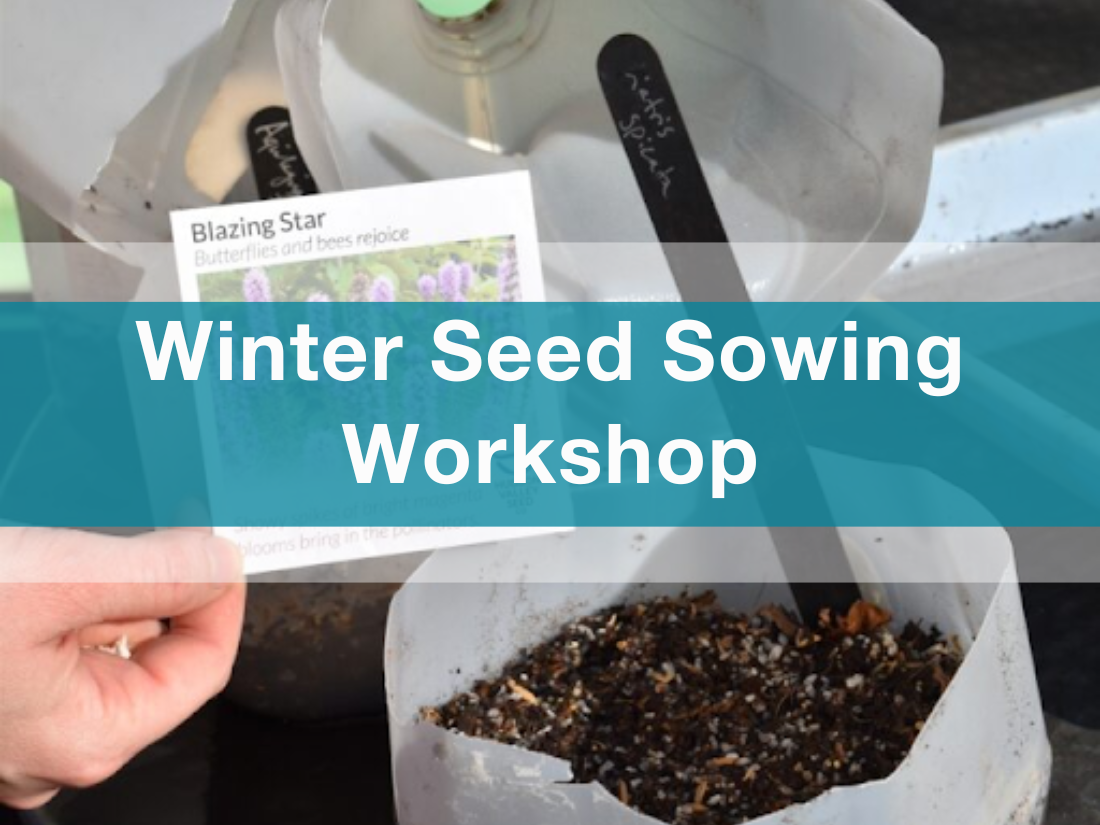 Winter Seed Sowing Workshop - UpstreamPgh