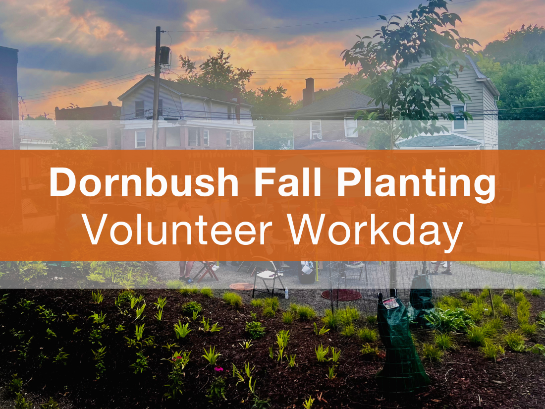 Dornbush Fall Planting Volunteer Workday - UpstreamPgh